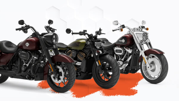 Harley-Davidson Sportster, Softail, Touring & CVO Motorcycle Tool Set ...